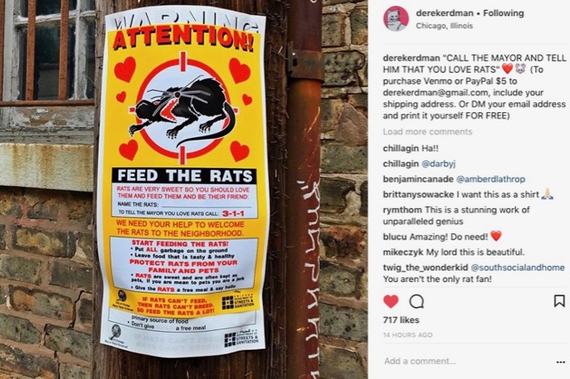 'Feed The Rats' Poster Encourages Chicagoans To Love The Prolific Rodents