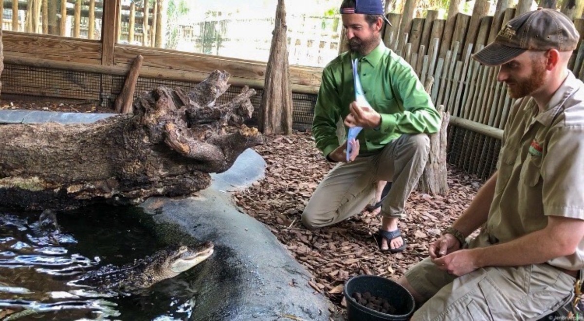 Chance the Snapper Archives - Block Club Chicago