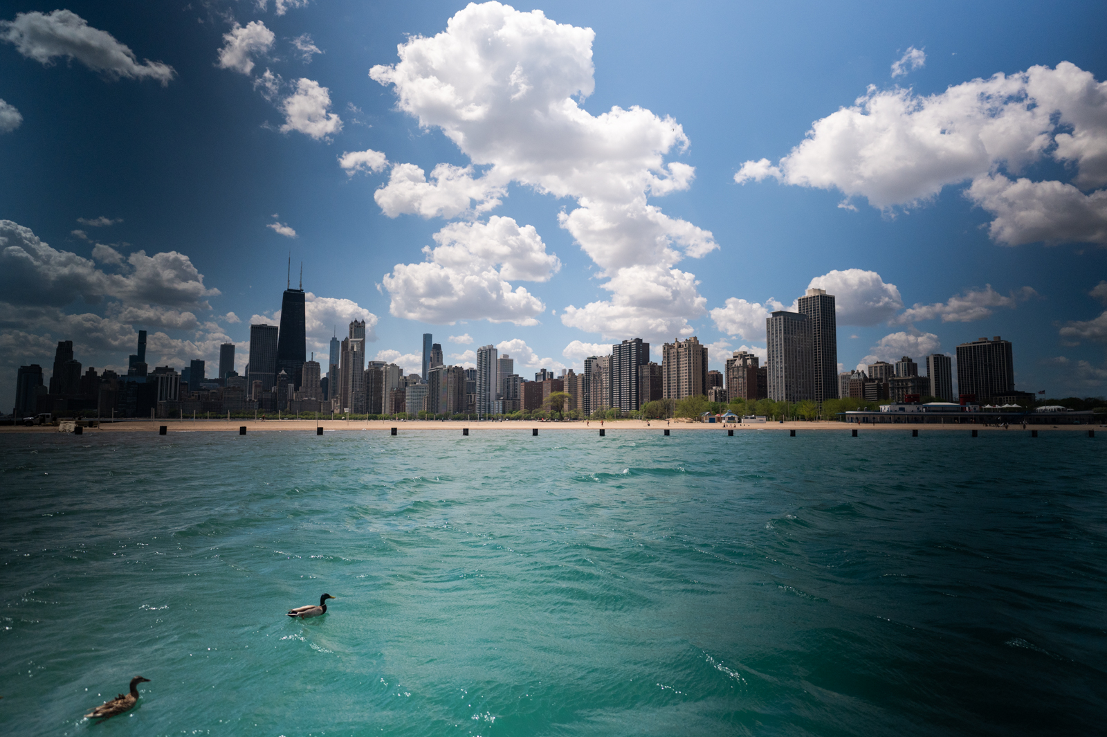 Chicago Skyline Beach