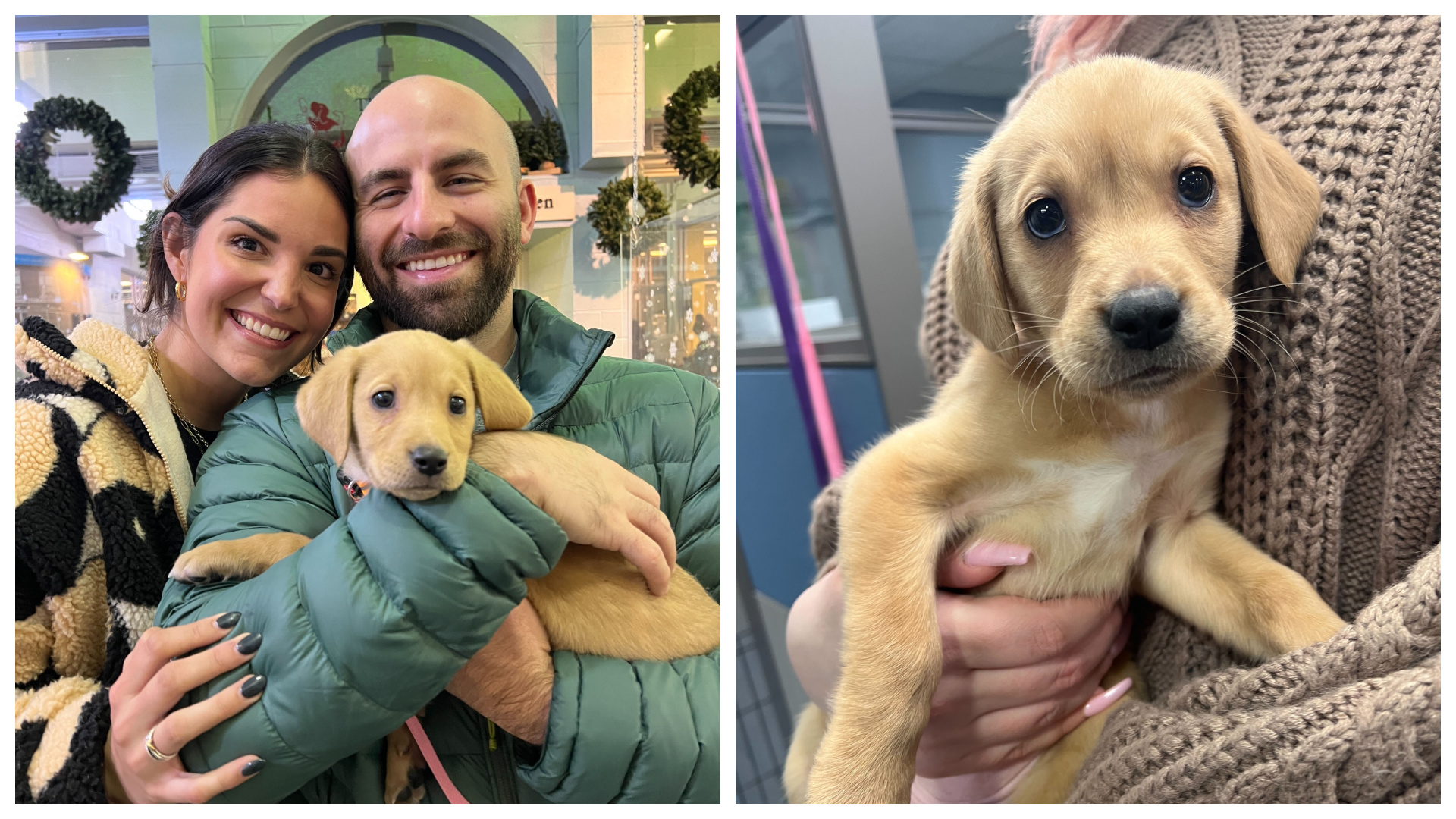 River North, Gold Coast, Near North Side Archives - Block Club Chicago