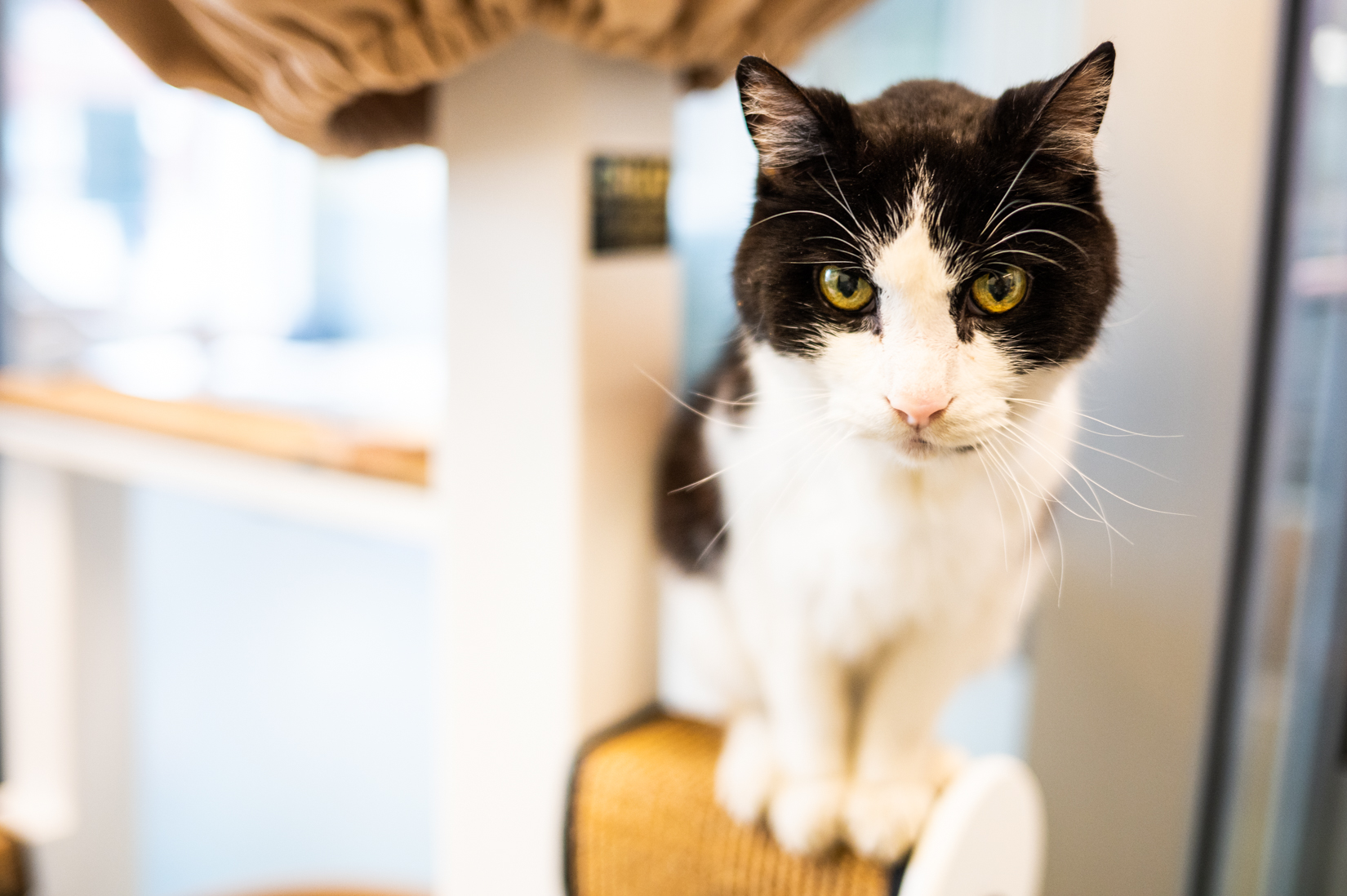 River North, Gold Coast, Near North Side Archives - Block Club Chicago